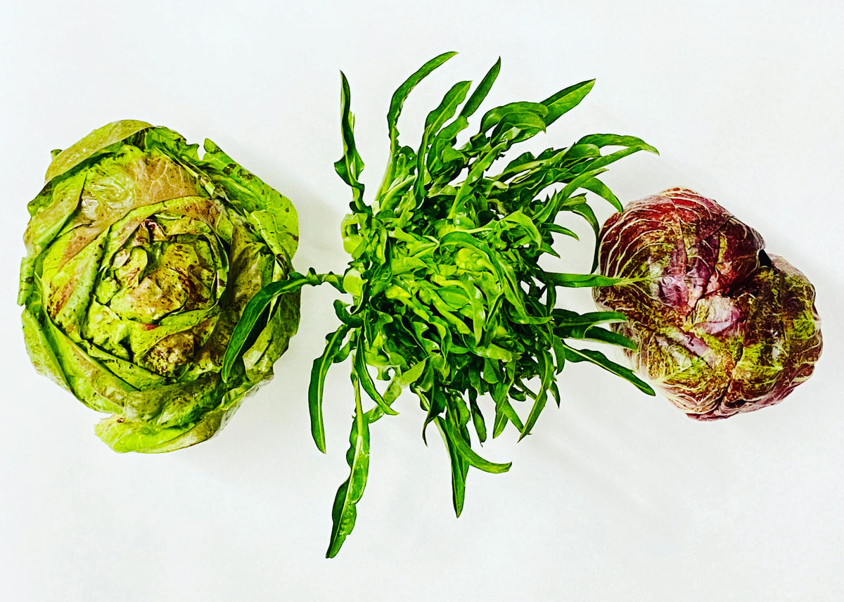 Mixed Italian Chicories – Chef Collective